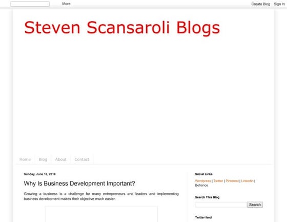 Steven scansaroli blogs why is business development important | PDF