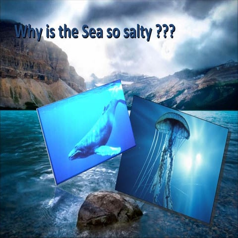 Why is the salty | PPT