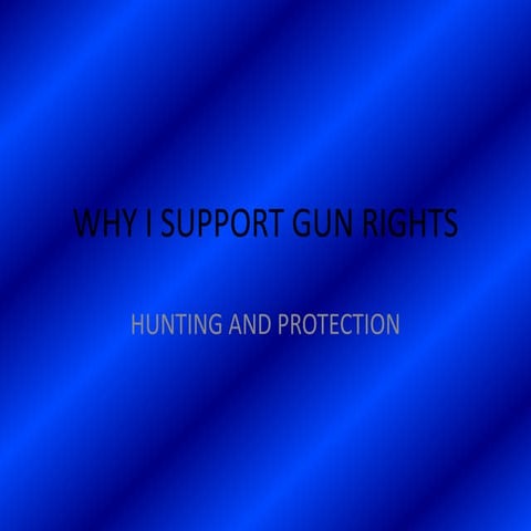 Why i support gun rights | PPTX