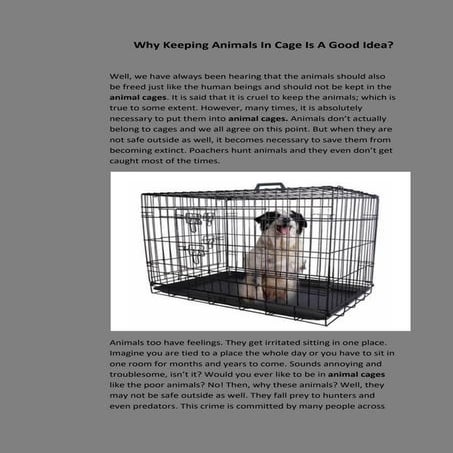 English Essay- Should Animals Be Kept In Zoos? | DOCX