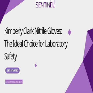 Kimberly Clark Disposable Gloves Overview | PPTX