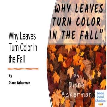 Why leaves turn color in the fall vocab.pptx