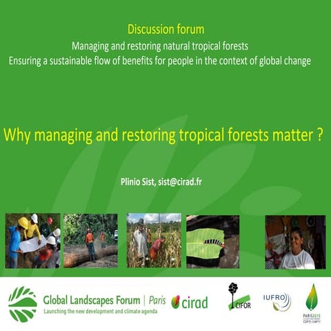 Why managing and restoring tropical forests matter | PPT