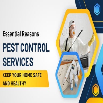 Why Pest Control Services Are Essential for Healthy Living and Safe ...