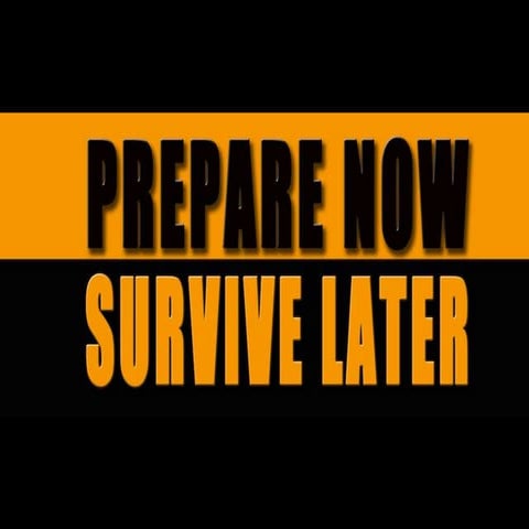 What Are The Five Key Elements Of Survival & Life | PPTX