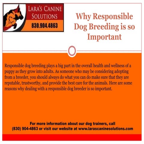 Why responsible dog breeding is so important | PPT