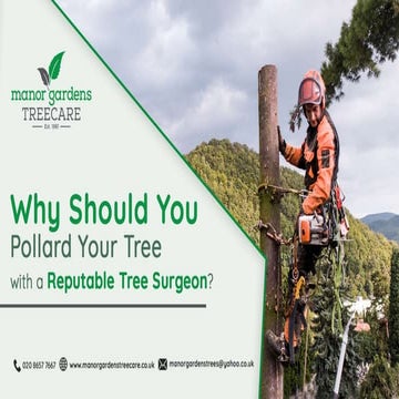 Why Should You Pollard Your Tree with a Reputable Tree Surgeon.pptx