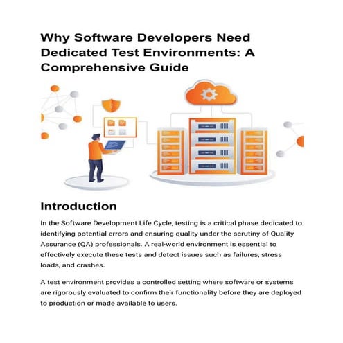 Why Software Developers Need Dedicated Test Environments_ A ...