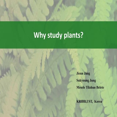 why study plants ? how to overcome food problem's? PPT | PPTX