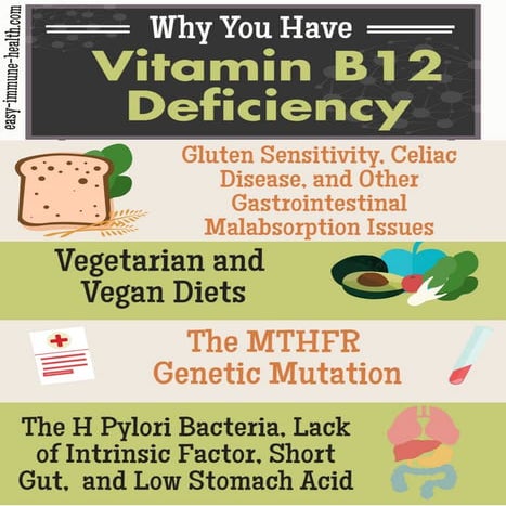 Why you have vitamin b12 deficiency | PDF