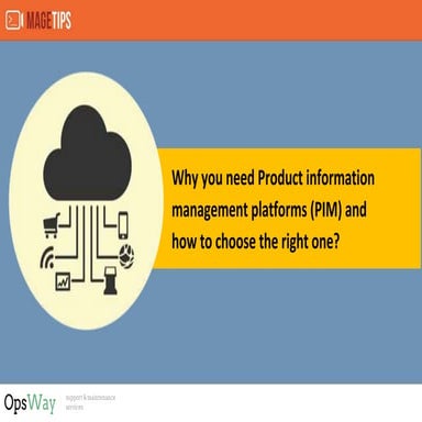 Why you need PIM and how to choose it. | PPTX