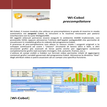 Wi-Cobol: modernizzazione programmi scritti in COBOL per IBM i/AS400 ...