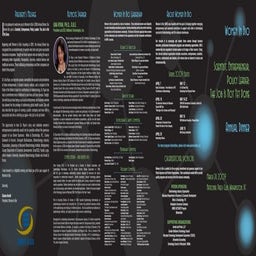 WIB Program 2010 | PDF