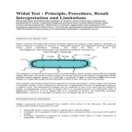 Widal test | DOCX | Infectious Diseases | Diseases and Conditions