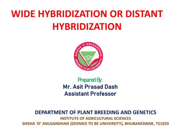 Hybridization Techniques in Crop Improvement | PPT