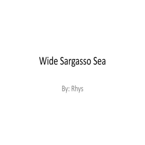 Wide sargasso sea | PPT
