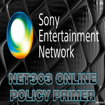 Sony Entertainment Network (SEN) Online Policy Primer Presentation | PDF