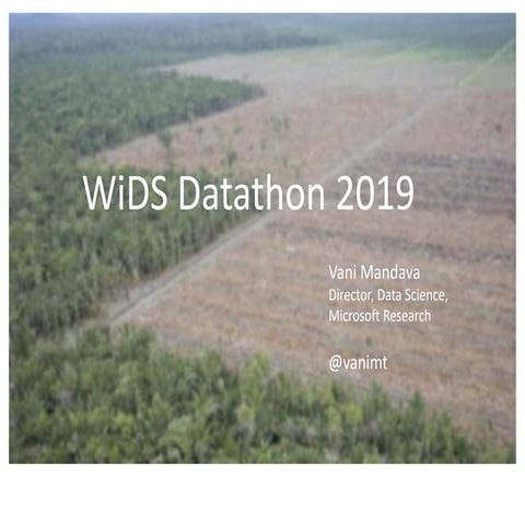 Wids datathon slides_vanim | PDF
