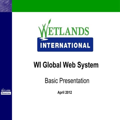 Global Website System Introduction | PPT | Web Design and HTML | Internet