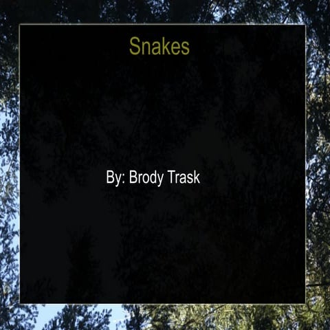 snake slide show | PPT