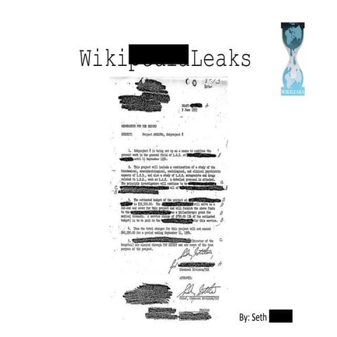 Wiki leaks | PPT