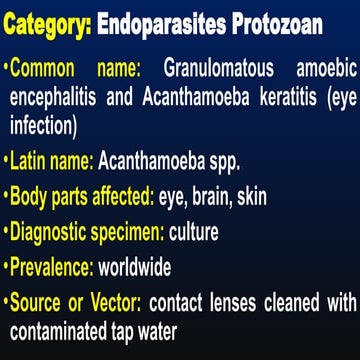 list of Human parasites from the wikipedia | PPTX