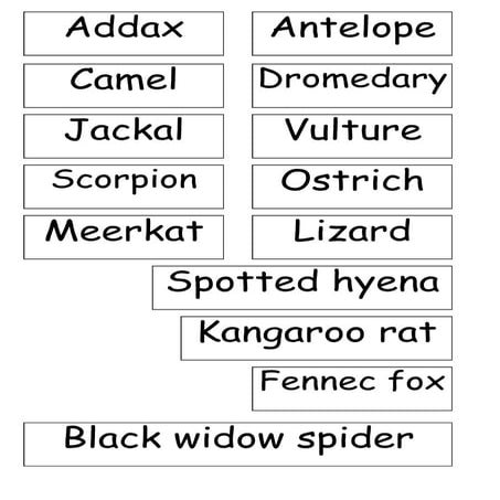 Wild animal labels | PDF