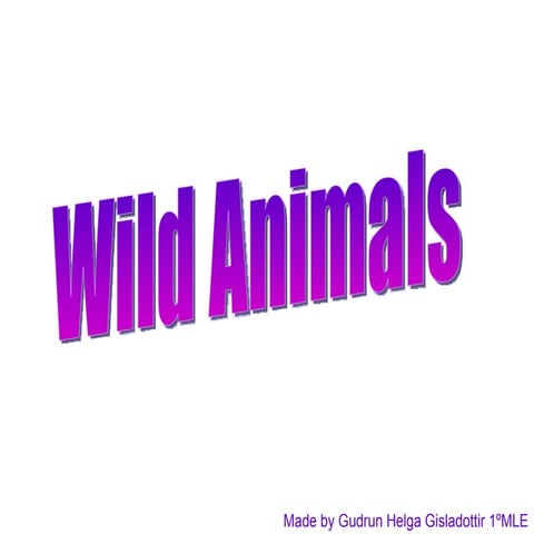 Wild animals | PPT