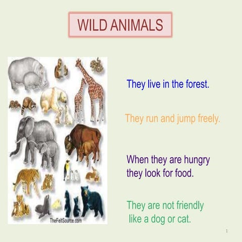 Wild animals | PPTX