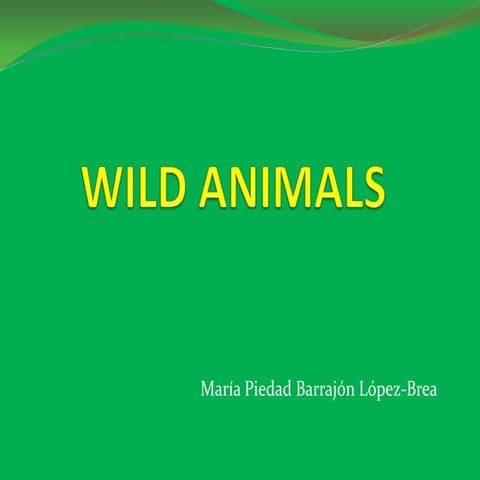 Wild animals | PPT