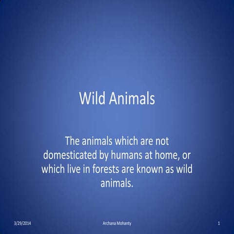 Wild animals | PPT