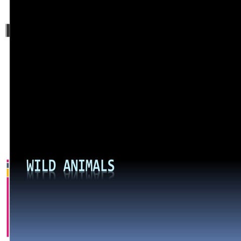 Wild animals | PPTX