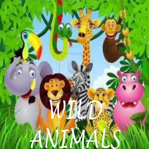 Animals powerpoints for kids | PPTX