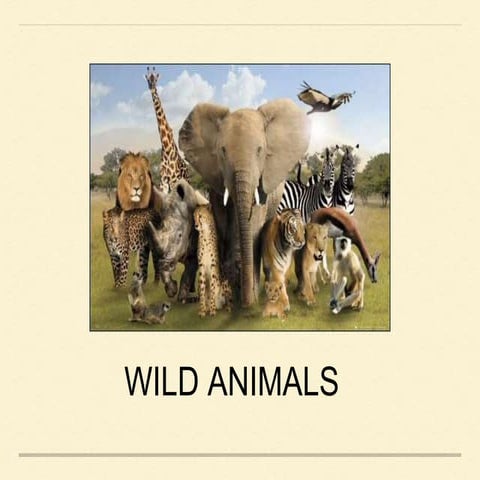 Wild animals | PPTX