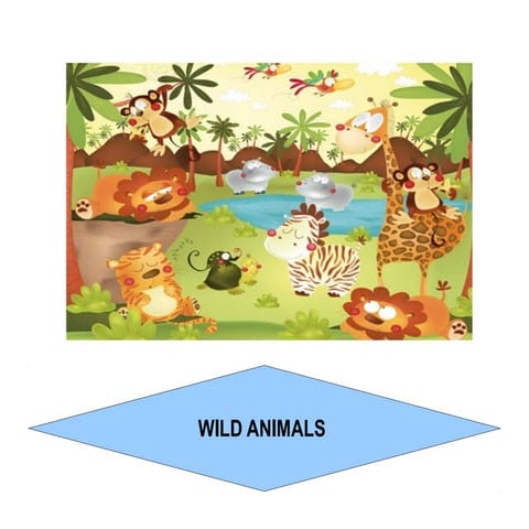 Wild animals | PPT