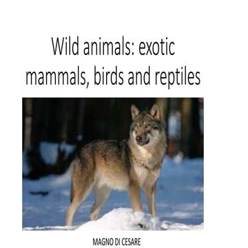 Wild animals | PPTX