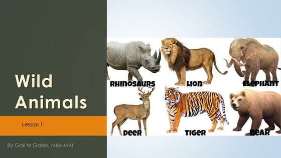 Puddles Puddles Puddles | PDF