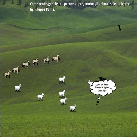 Wild animals 2 italian | PPTX