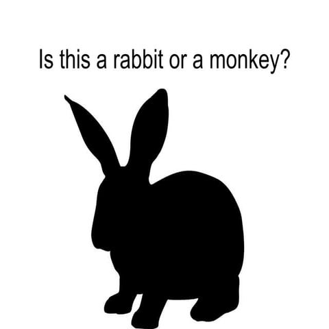 Wild animals game.pptx