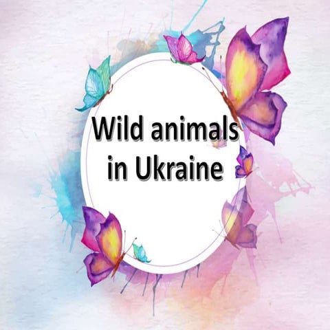 Wild animals in ukraine | PPTX | Birds | Pets