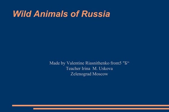 Animals of Russia | PPT