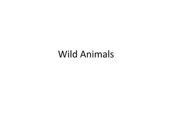 Animals | PPT