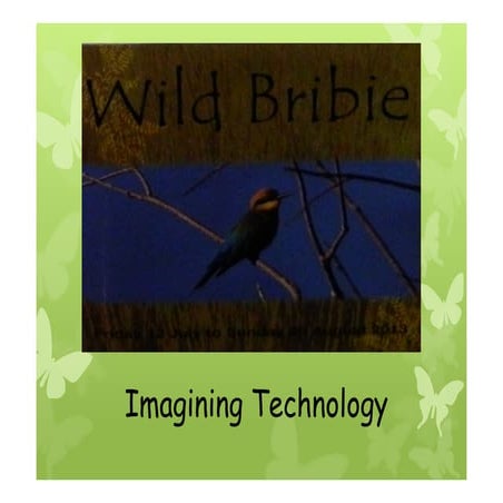 Joan Kelly: 'Wild Bribie tech vs imagination' | PPT