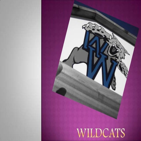 Wildcats powerpoint brittney b | PPT