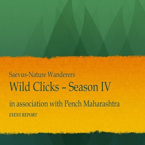 WILD CLICKS SEASON 4 | PPTX