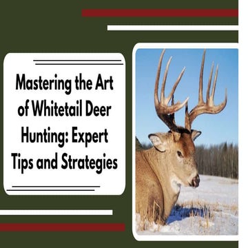 Wild Deer Hunting Adventure | PPT