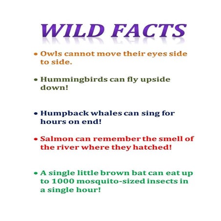 Wild facts | PDF