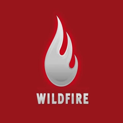 Wildfire Interactive | PPTX