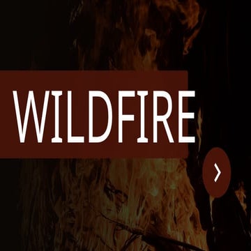 WILDFIREenvironmentpresentationaboutwildfire.pptx