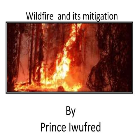 Mitigation of Wildfire | PPTX | Indoor Environmental Quality | Home ...